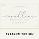 Mindline Script | Font Collection, Fonts | GraphicRiver